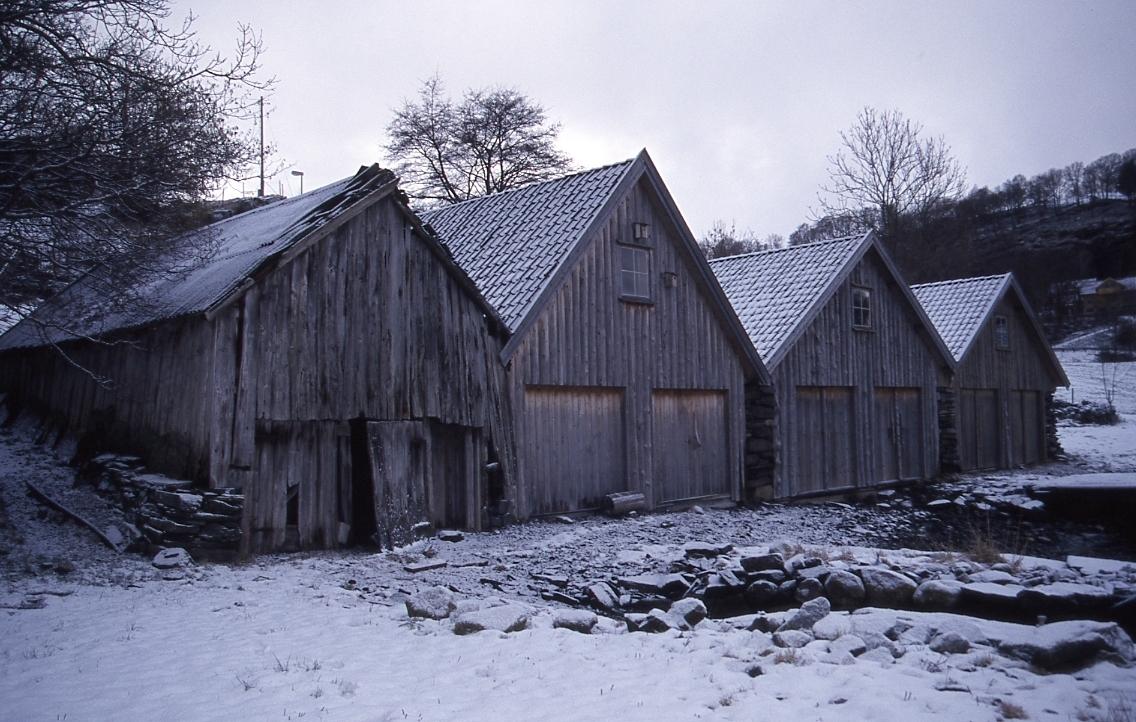 Nausrekke på Lastein på Finnøy. Synfaring i høve Hadle Austbø si ...