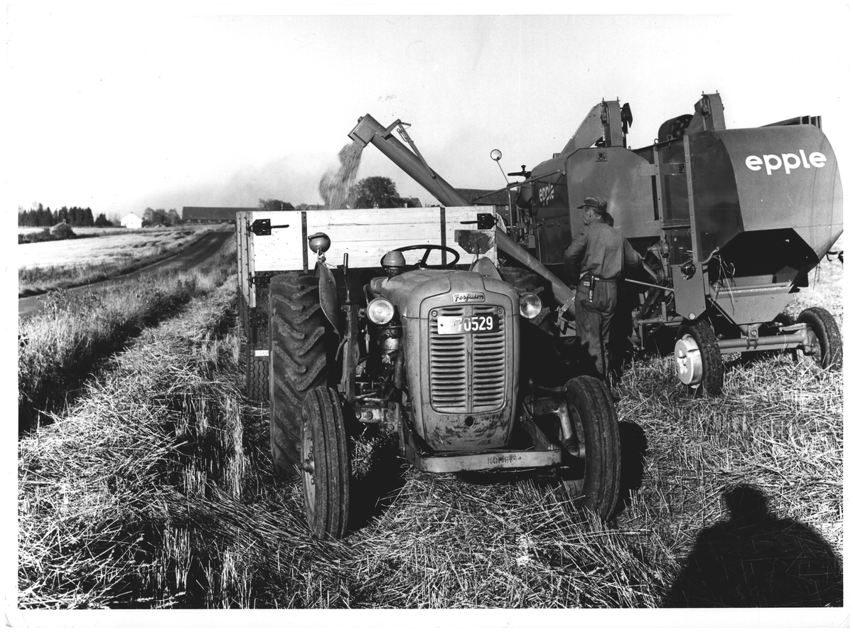 Stange, Hedmark. 37 cic bred. 30 1/2 cic h. - DEXTRA Photo / DigitaltMuseum