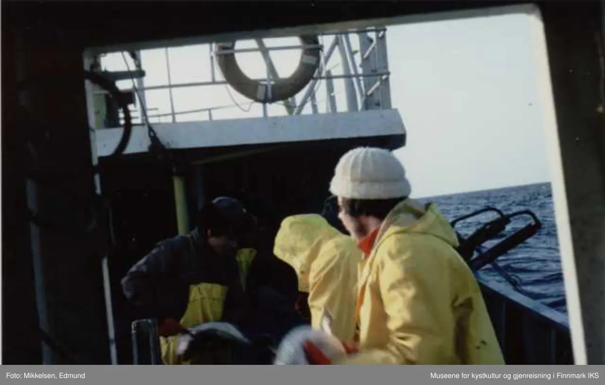 Fiskere i båt Magne Hansen, Øystein Stabell, Ingvald Hansen - Museene ...