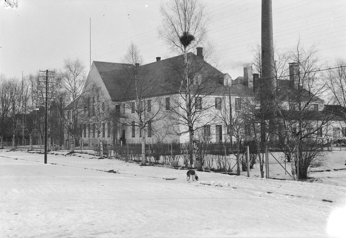Verdal Meieri - Sverresborg Trøndelag Folkemuseum / DigitaltMuseum