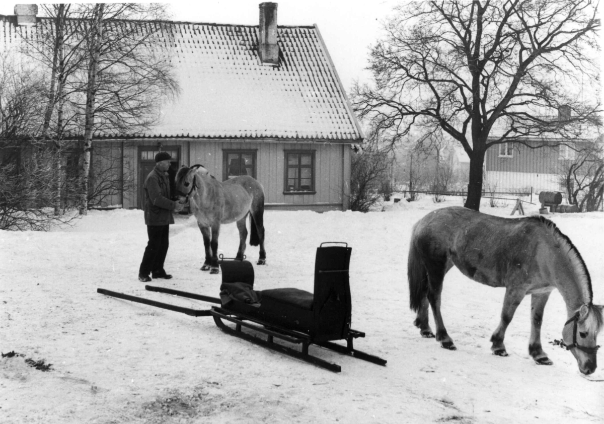 Slede - Norsk Folkemuseum / DigitaltMuseum
