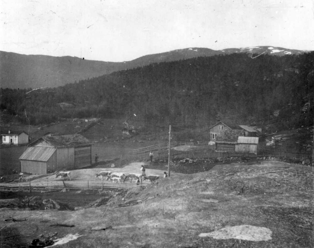 Rysstad - Norsk Folkemuseum / DigitaltMuseum