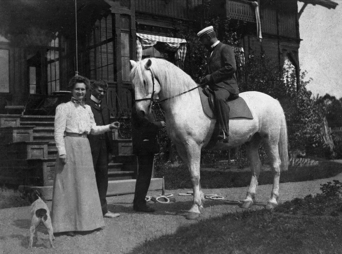 Avfotografering. Gruppeportrett, familiebilde, mann på hvit hest, to ...