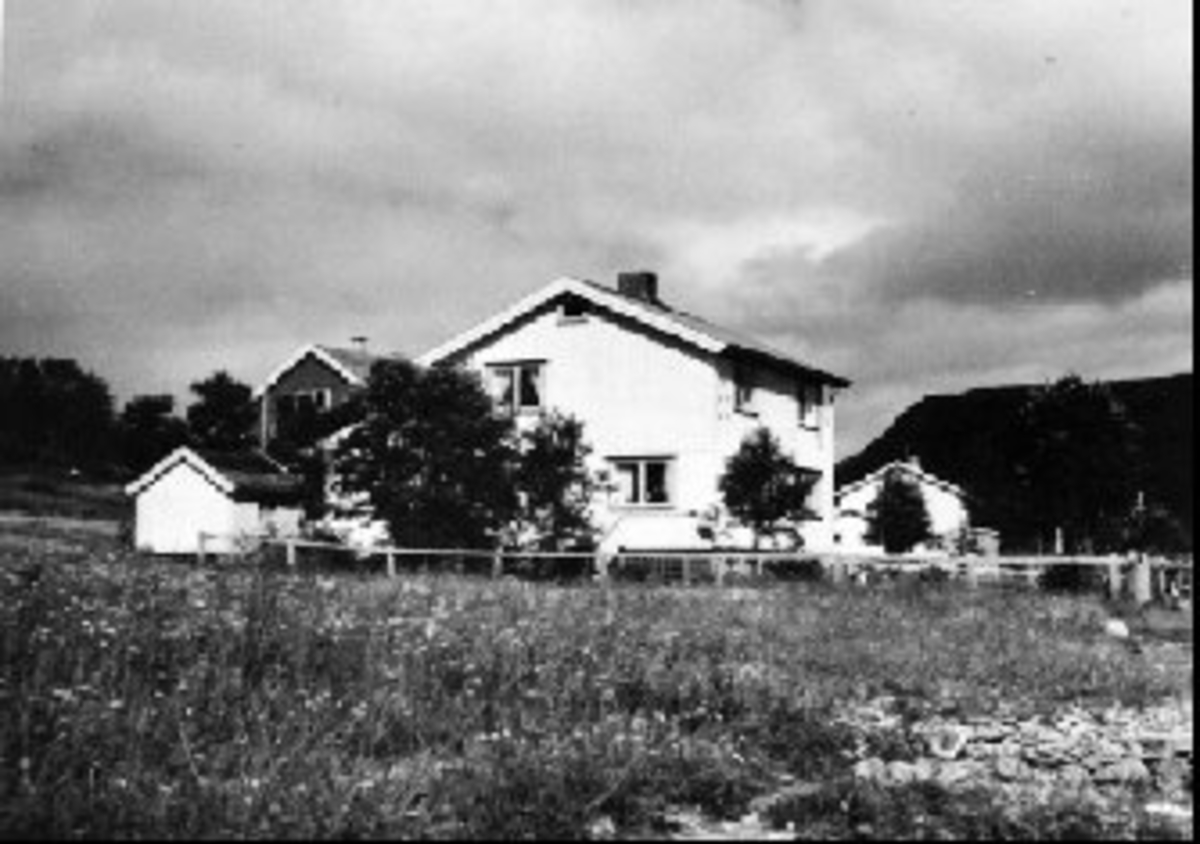 Bosted - Nord-Troms Museum / DigitaltMuseum