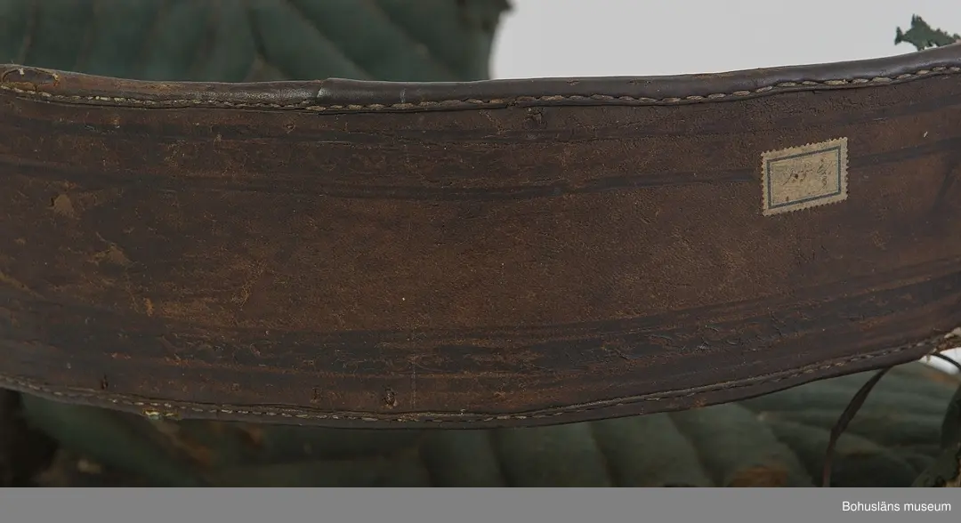 Damsadel - Bohusläns museum / DigitaltMuseum