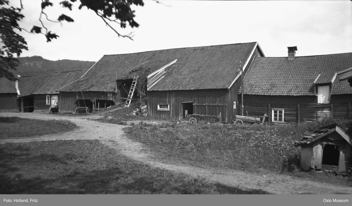 Disen gård. - Oslo Museum / DigitaltMuseum