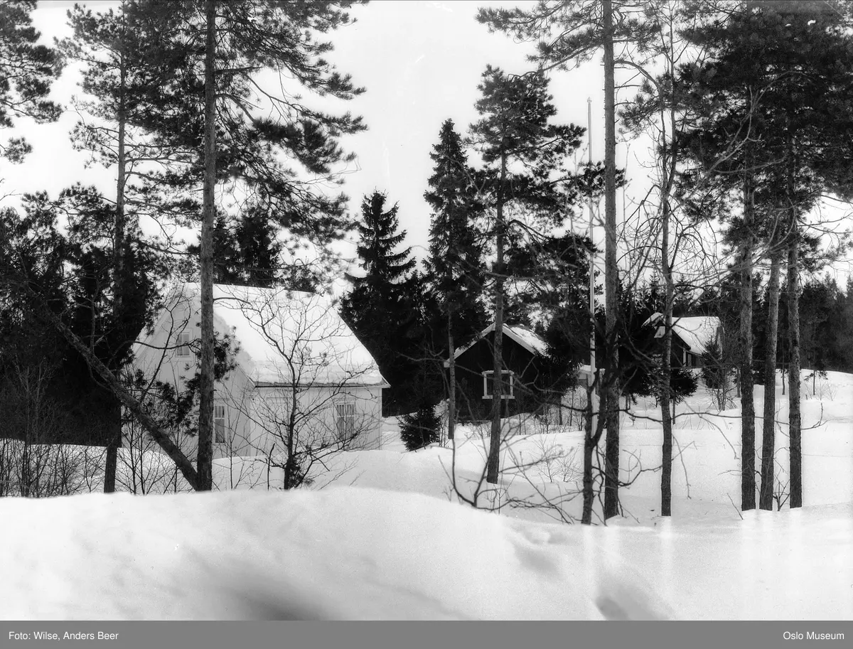 skog, snø, bolighus - Oslo Museum / DigitaltMuseum