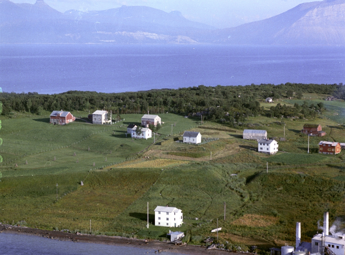 Flyfoto fra Kjøtta. - Sør-Troms Museum / DigitaltMuseum