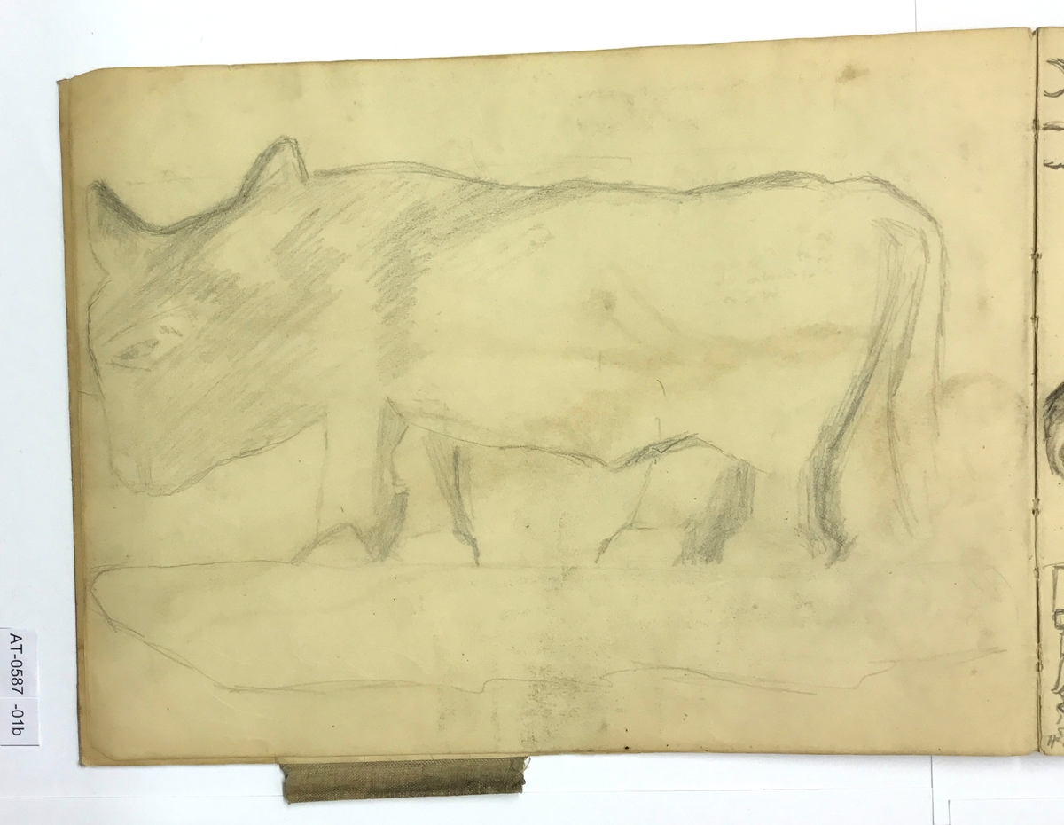 Akt og organisk søyle [Tegning] - SFKM - Sogn og Fjordane Kunstmuseum ...