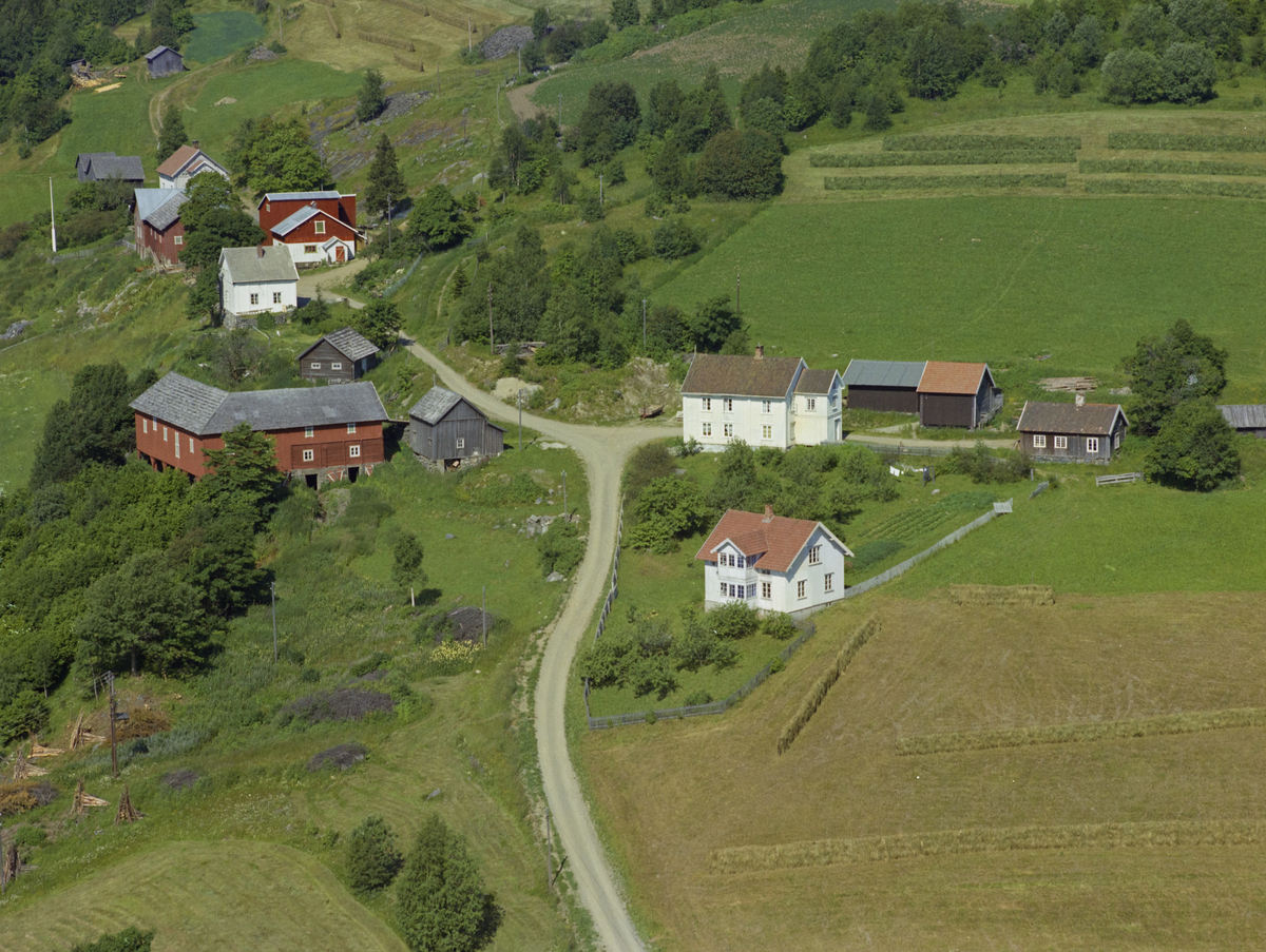 Vingrom, Tre gårder Ovren, kulturlandskap - DigitaltMuseum
