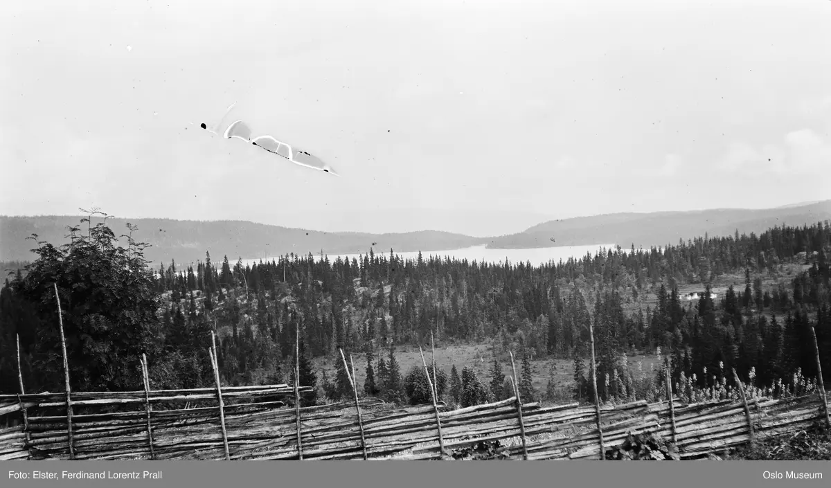Gjerdingen sett fra Roenseter. - Oslo Museum / DigitaltMuseum
