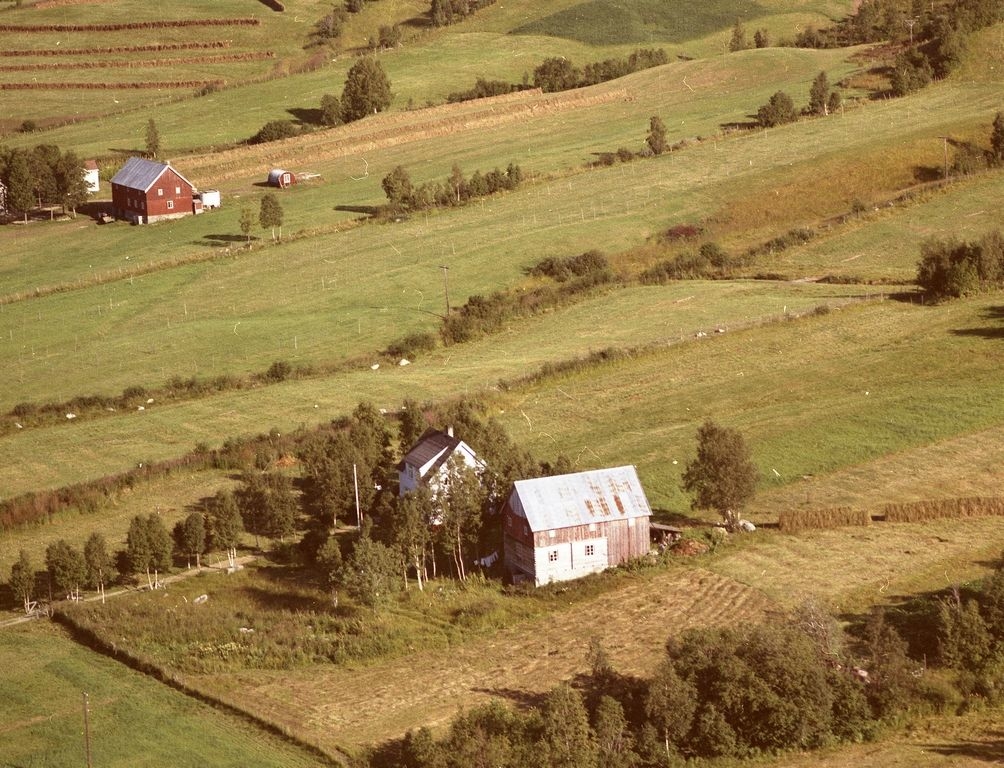 Skjomnes Øverst til v. eier Johan Larsen, hvit hus revet og ...