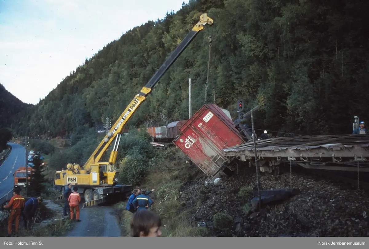 Tre godsvogner i godstoget fra Bodø til Trondheim, tog 5794, har sporet ...