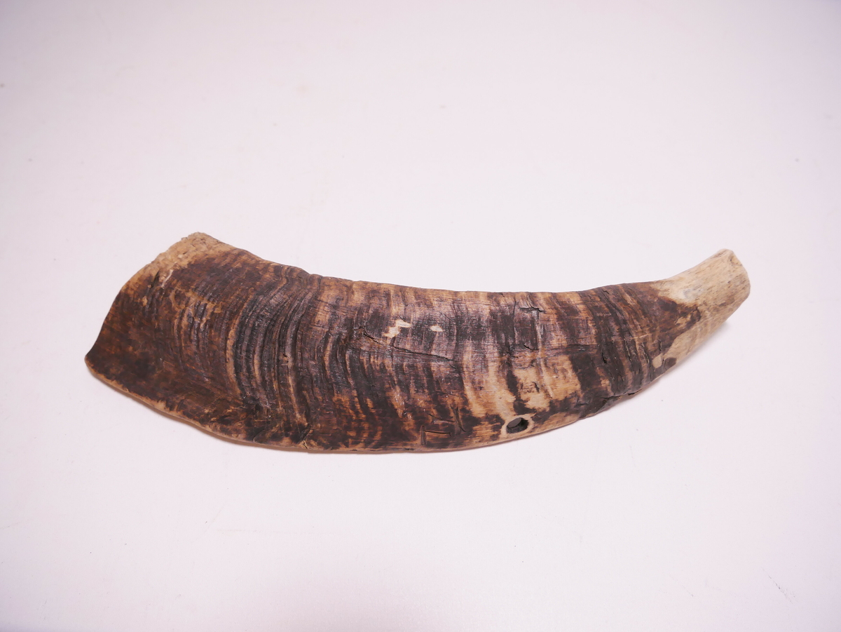 Bukkehorn - De Heibergske Samlinger - Sogn Folkemuseum / DigitaltMuseum