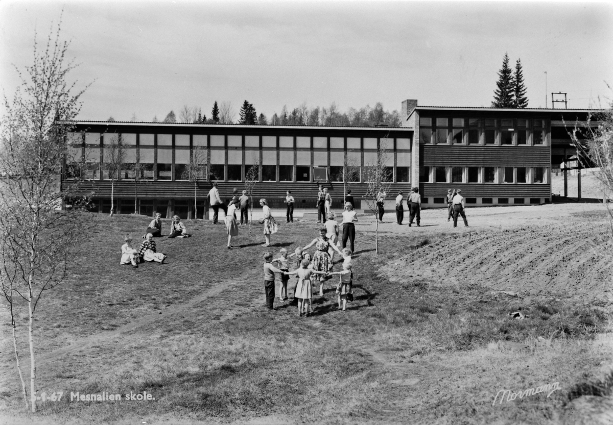 Mesnalien skole, Ringsaker. Elever og lærere på uteplassen. - Anno ... Mesnalien skole, Ringsaker. Elever og lærere på uteplassen. - Anno ...
