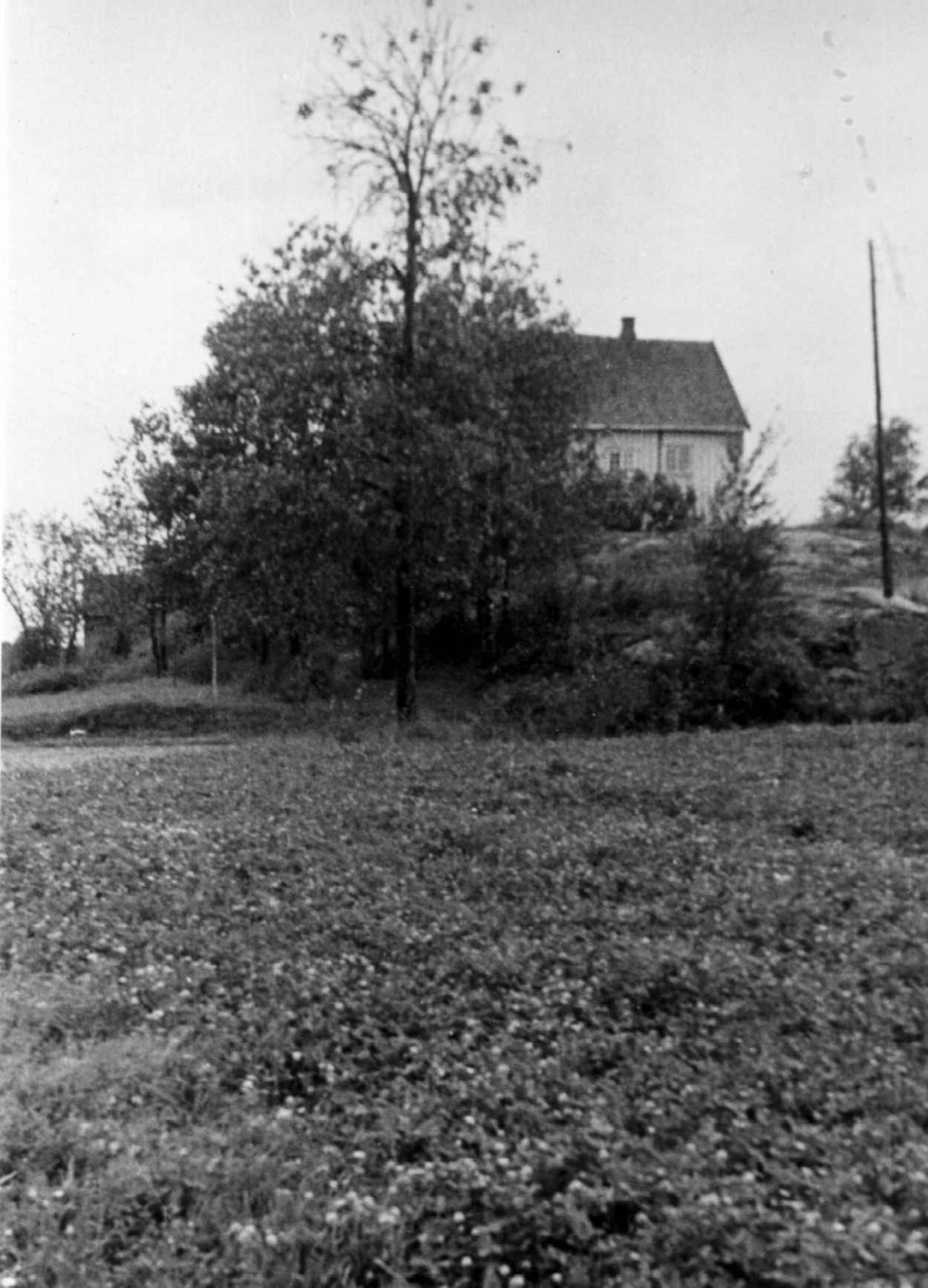 Flesberg , Nordre - Stiftelsen Norsk folkemuseum / DigitaltMuseum