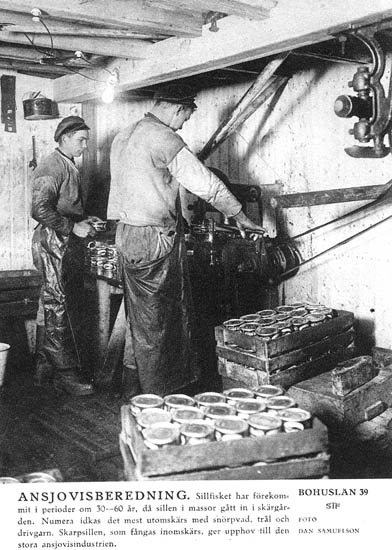 Sverigebilder Svenska Turistföreningen. Bohuslän 39. Foto: Dan ...