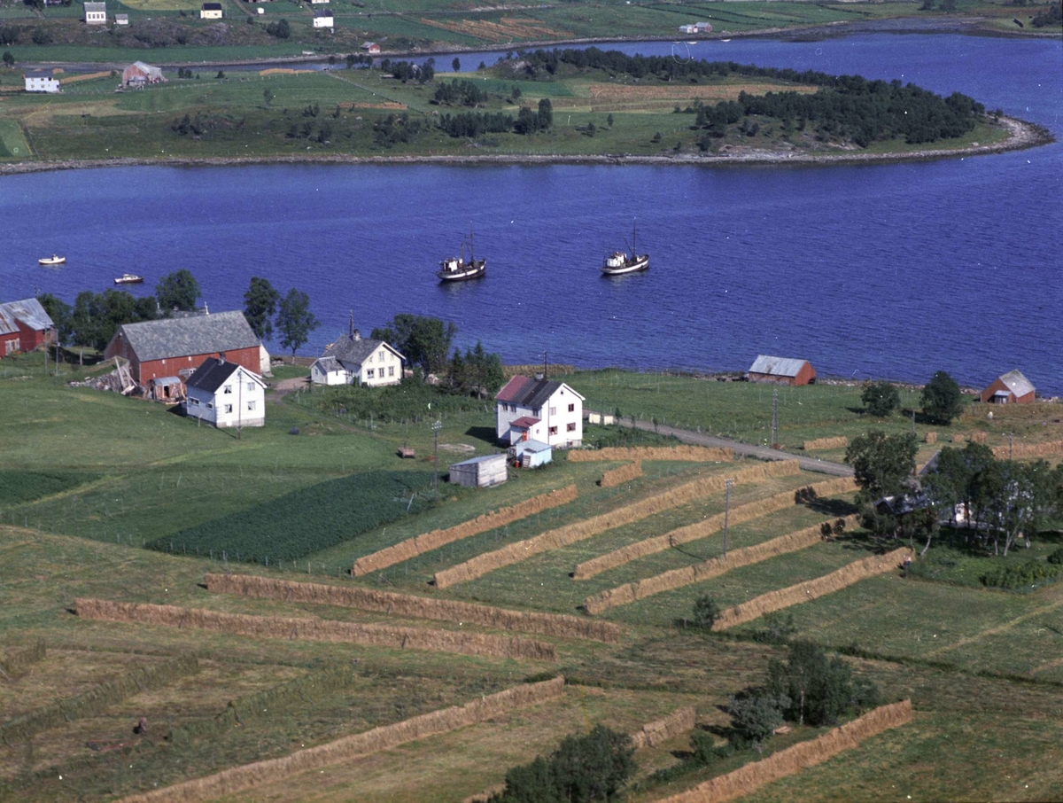 Flyfoto av Halsebø. - Sør-Troms Museum / DigitaltMuseum