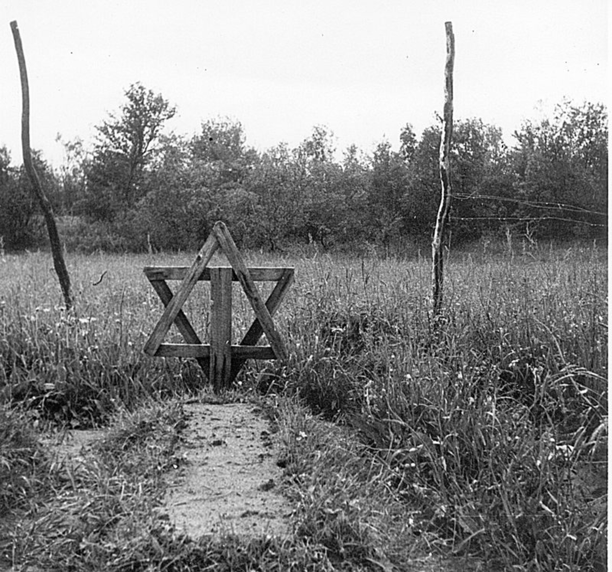 En grav med gravmonument i tre i formen av davidsstjerne - Museum Nord ...