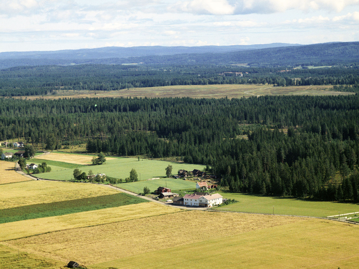 SÆTER MEIERI MEIERI - Museene i Akershus / DigitaltMuseum