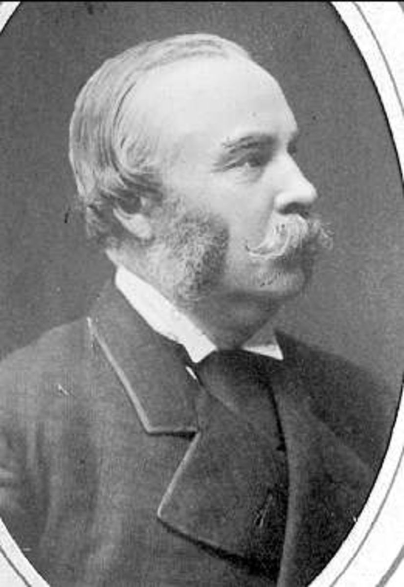 Porträtt av ryttmästare Henrik Sebastian Tham - Karlsborgs ...